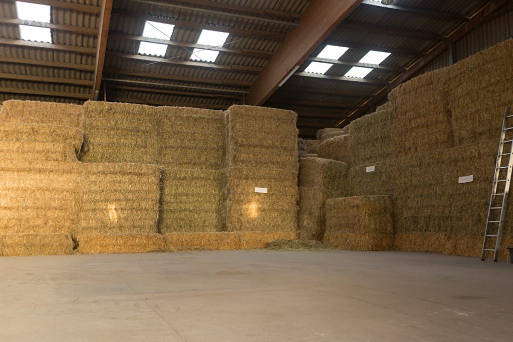 Heu | Agrarservice-Cordt