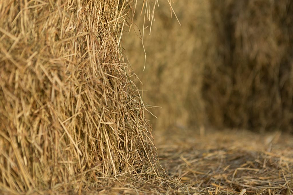 Heuqualität | Agrarservice-Cordt